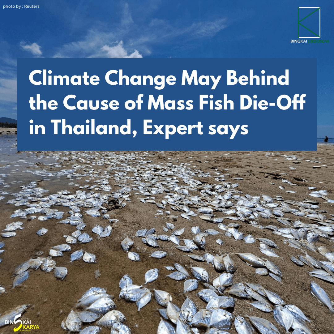 Climate Change Maybe Causing The Mass Fish Die-Off in Thailand