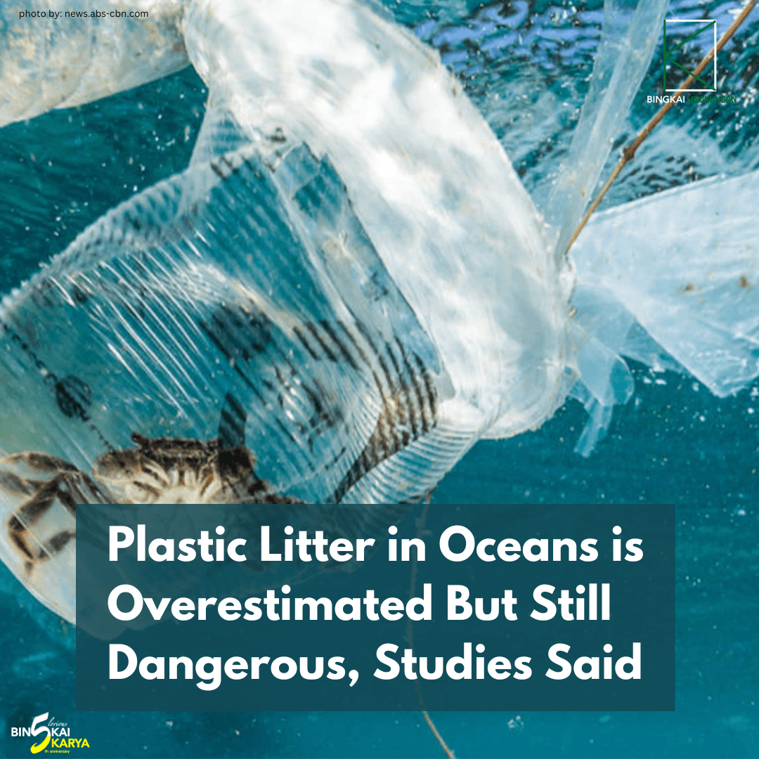 Plastic Litter in Oceans is Overestimated But Still Dangerous