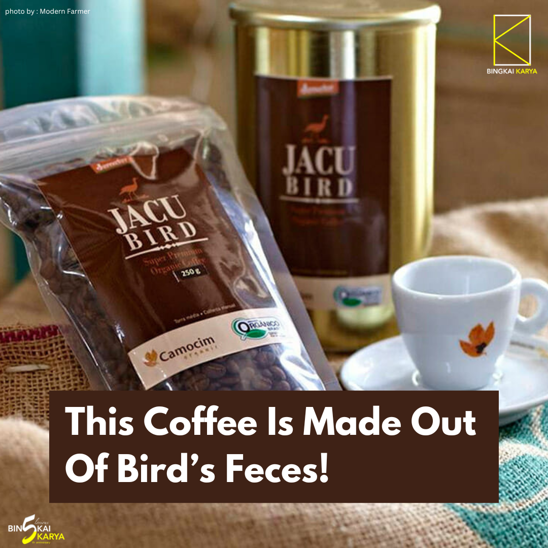 This Coffee Is Made Out Of Bird’s Feces! - Bingkai Karya