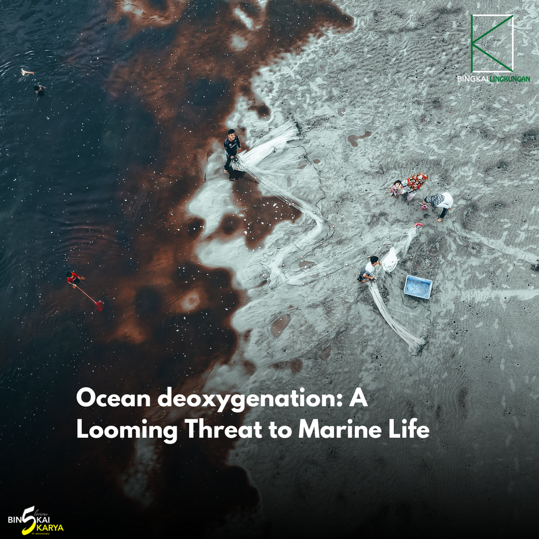 Ocean deoxygenation: A Looming Threat to Marine Life - Bingkai Karya